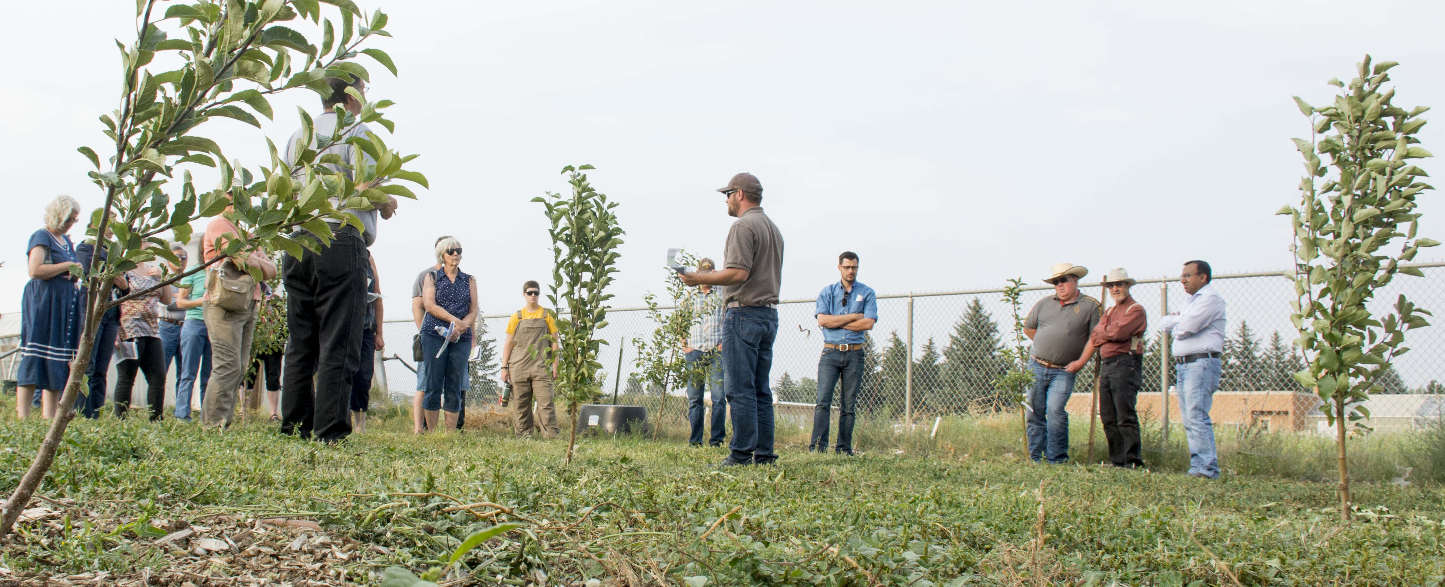 Free UW Extension webinars focus on gardening – AgNews