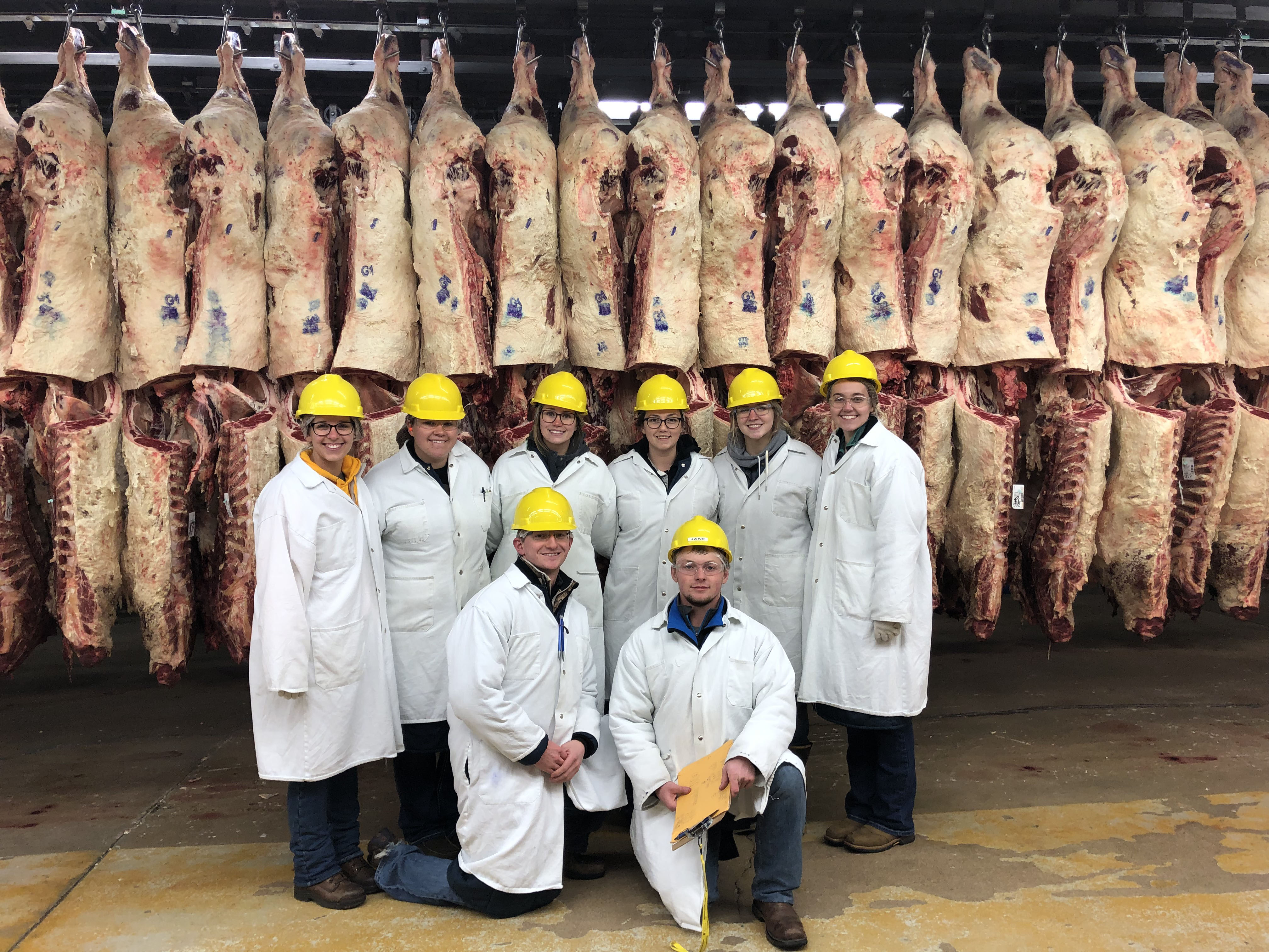 UW meats judging team maintains top 10 finishes in spring season – AgNews