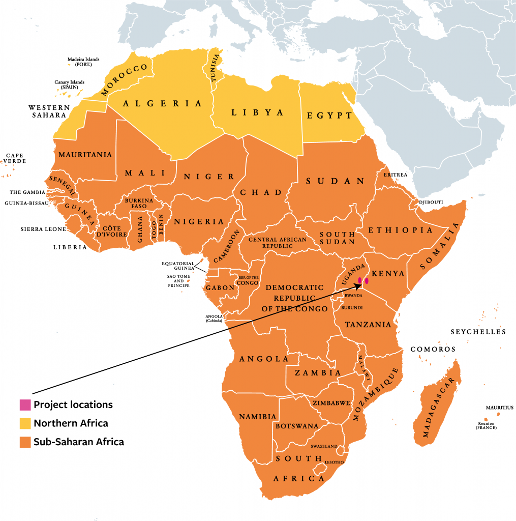 Research collaboration studies whether conservation-based agriculture ...
