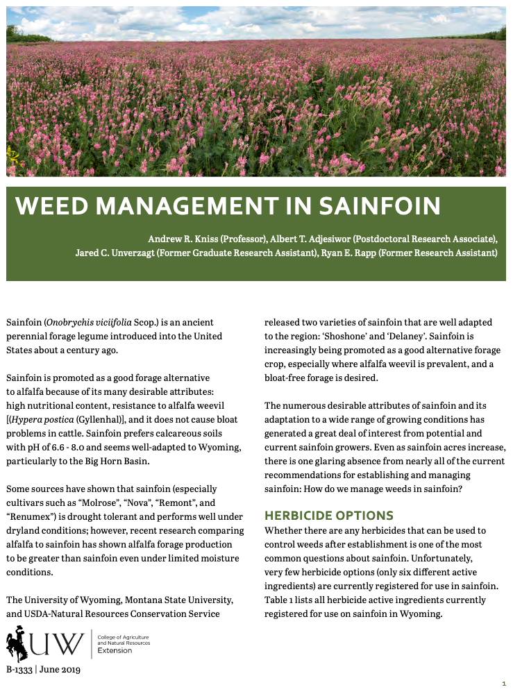 UW Extension publication examines sainfoin weed control – AgNews