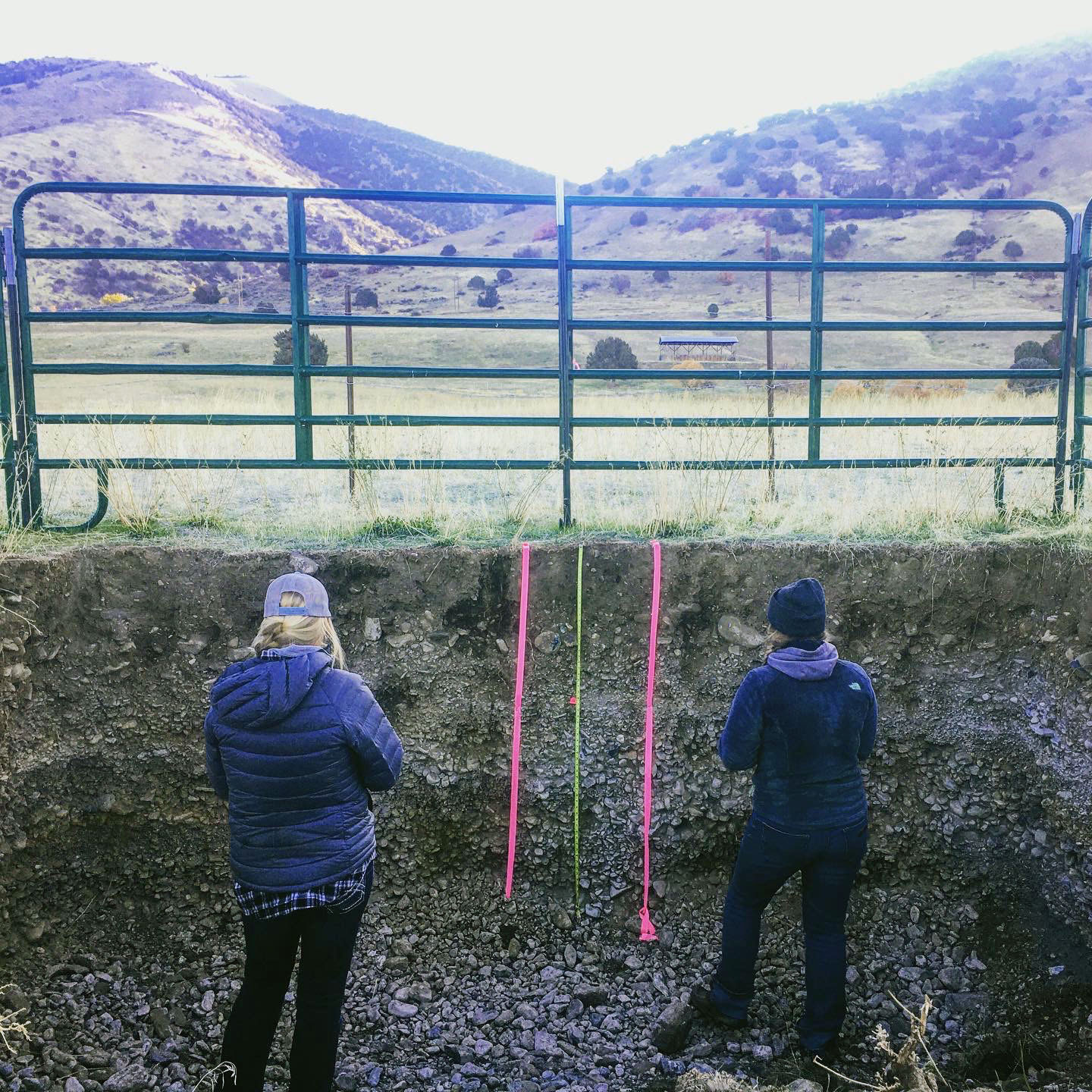 UW soil judging team wins regional contest – AgNews