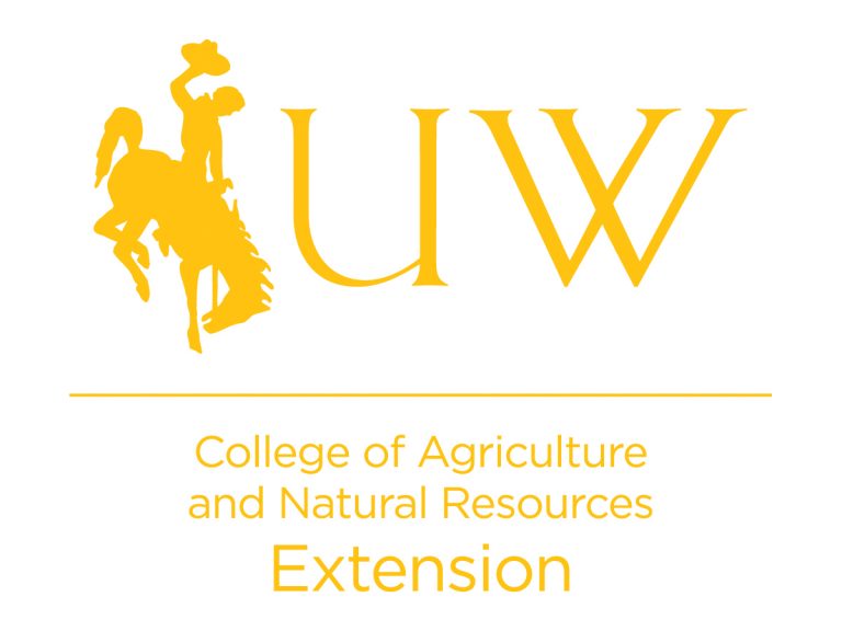 Ellbogen grants help UW Extension develop youth business aptitude ...