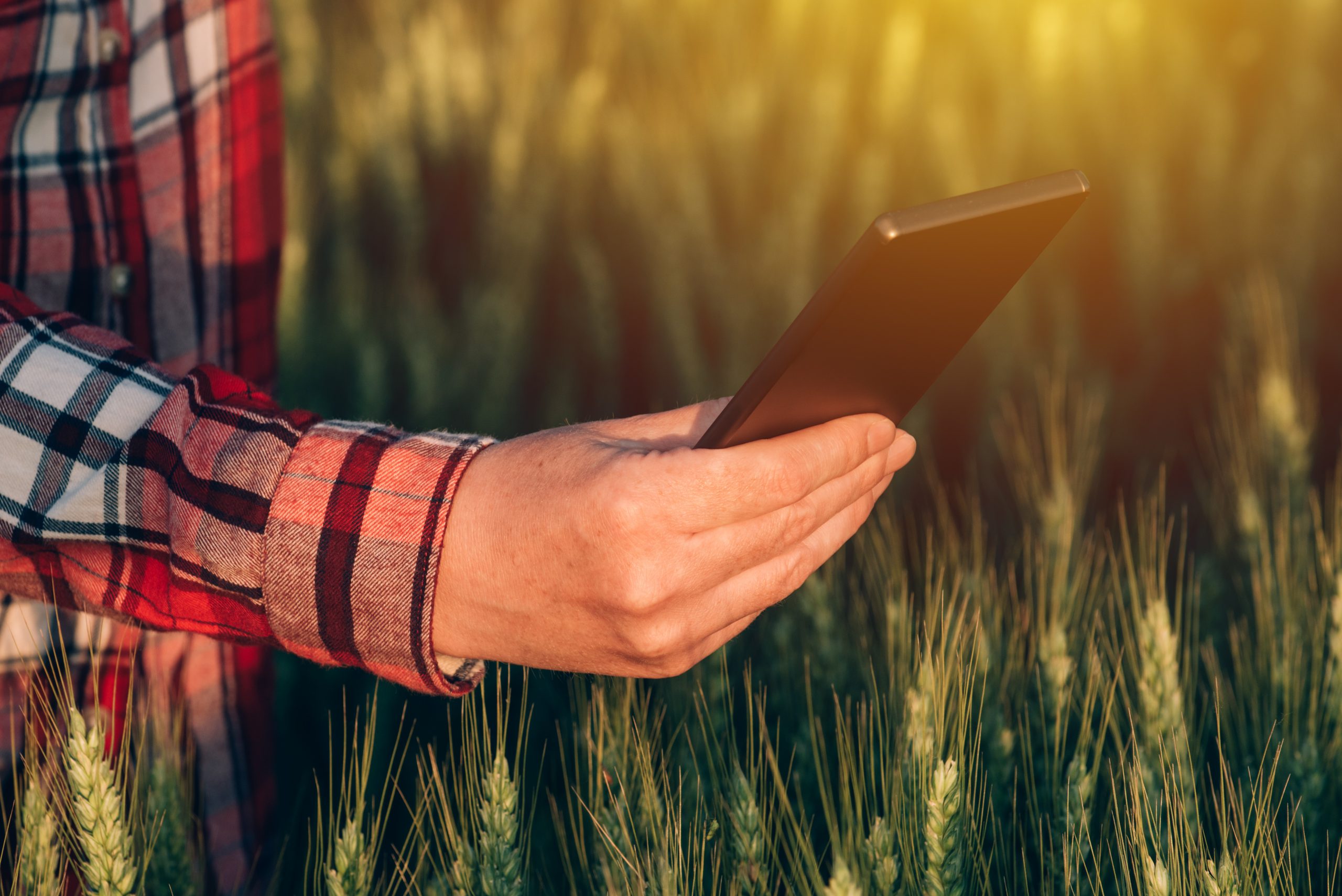 Ag businesses can use free social media tools to connect with hungry ...