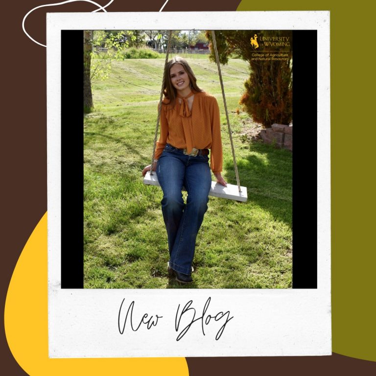 Joining a UW Judging Team may be the best decision you make in College ...