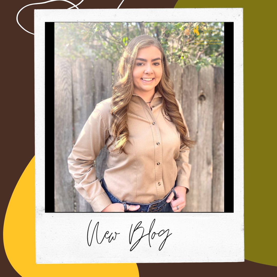 Being Involved at UW: 3 Reasons Why – AgNews