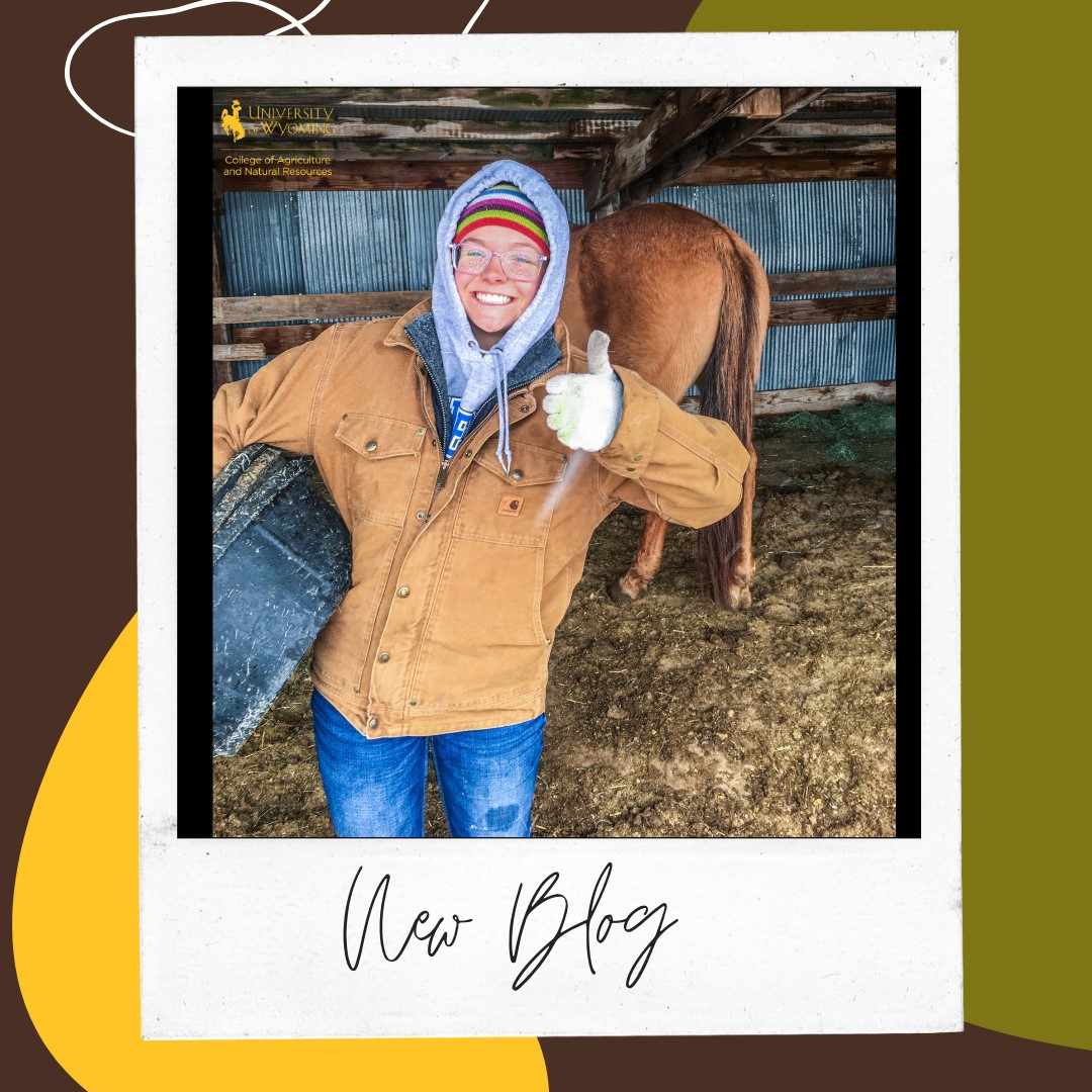 The Chaos of Agriculture – AgNews