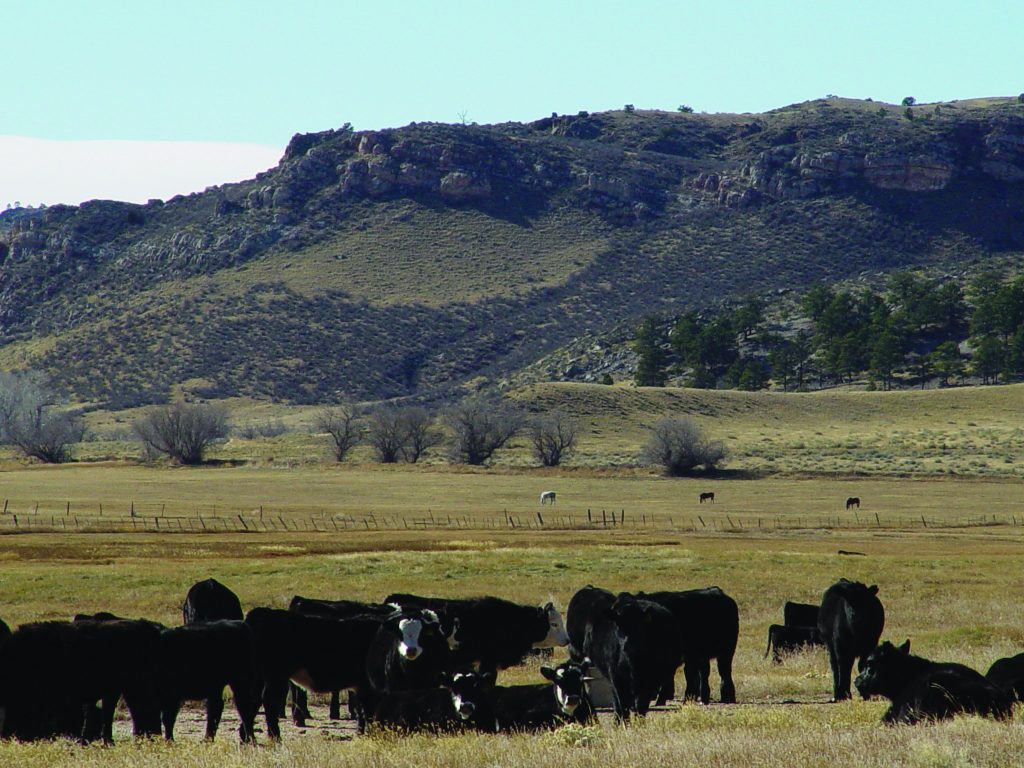 AgNews – News from University of Wyoming College of Agriculture and ...