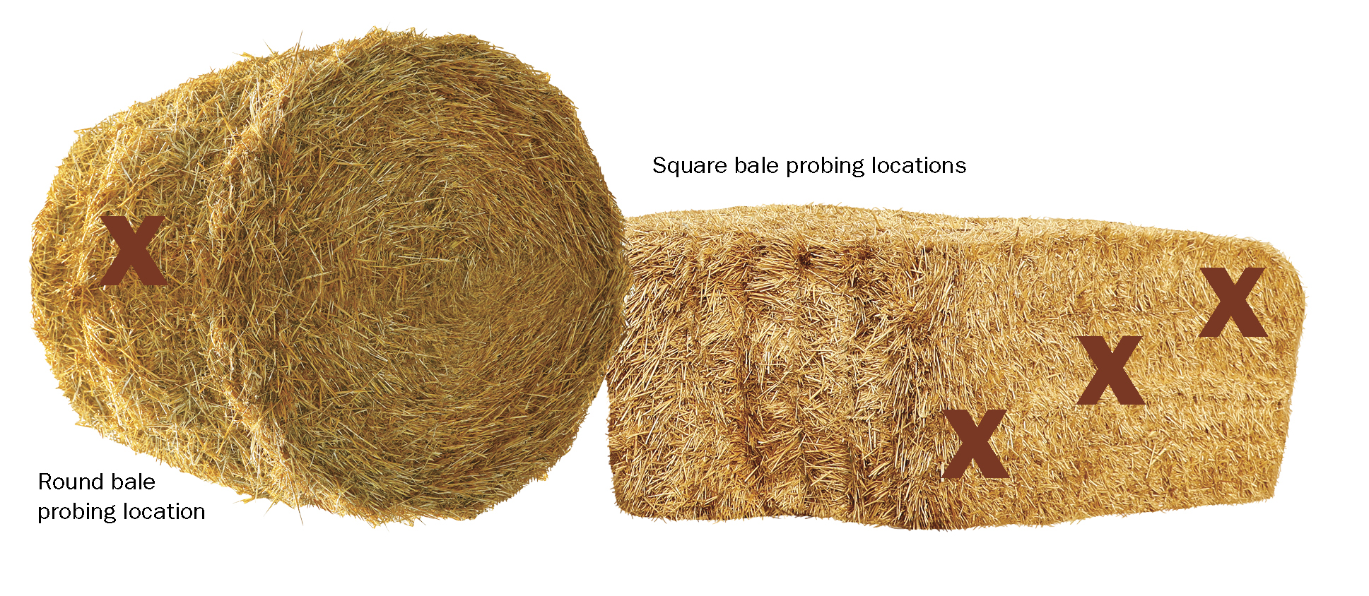 The Importance of Testing Hay Quality – AgNews
