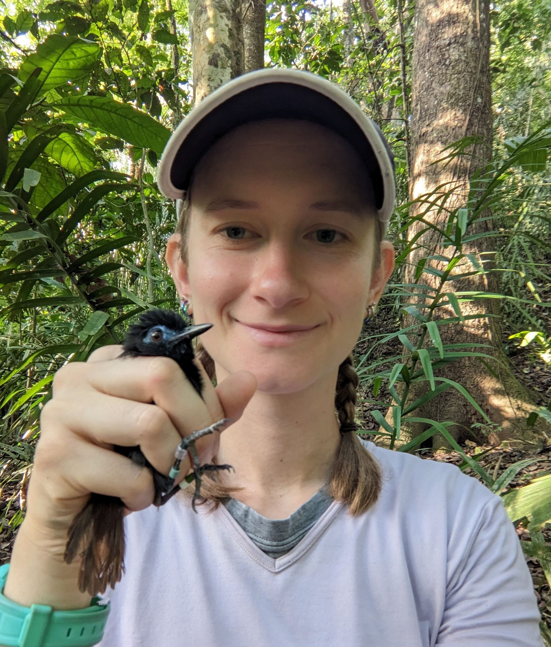 Four UW Students to Present Bird Research During Science Café Jan. 24 ...