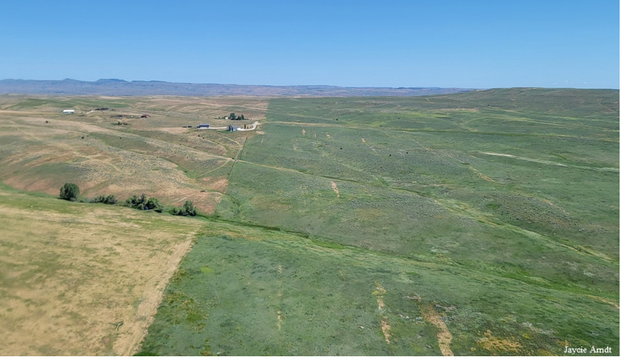 Registration Open for Virtual Invasive Grass Workshop – AgNews