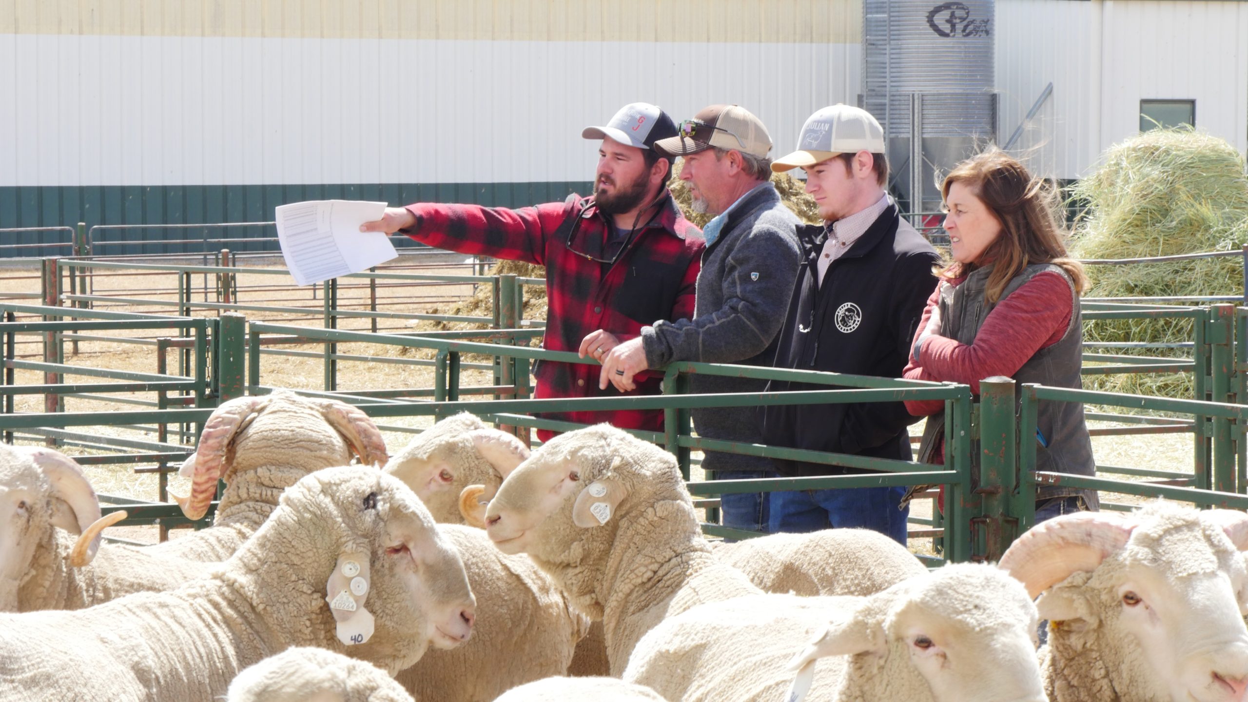 UW’s Laramie Research and Extension Center to Host Ram Test Field Day ...