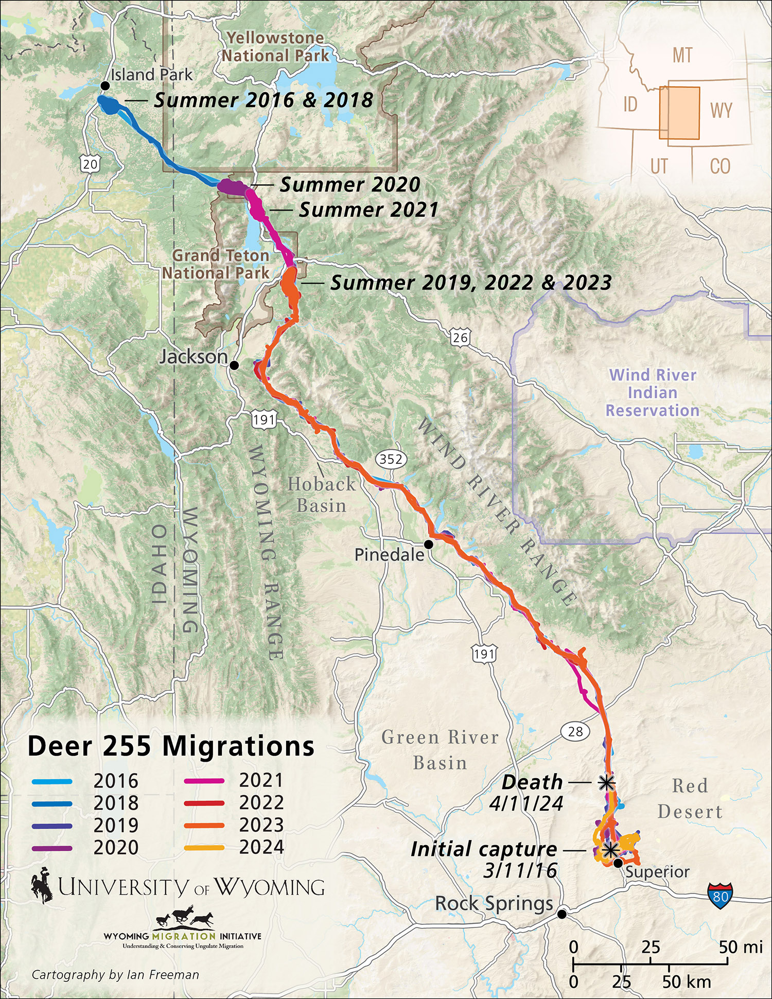After 11 Years, Longest-Migrating Mule Deer Dies in Wyoming’s Red ...