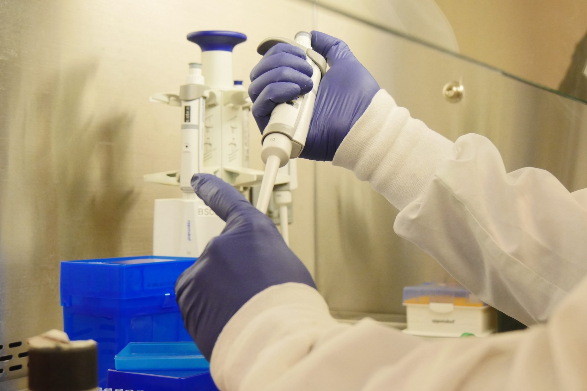 Q&A: How Does the Wyoming State Vet Lab Help Keep the Public Safe from ...