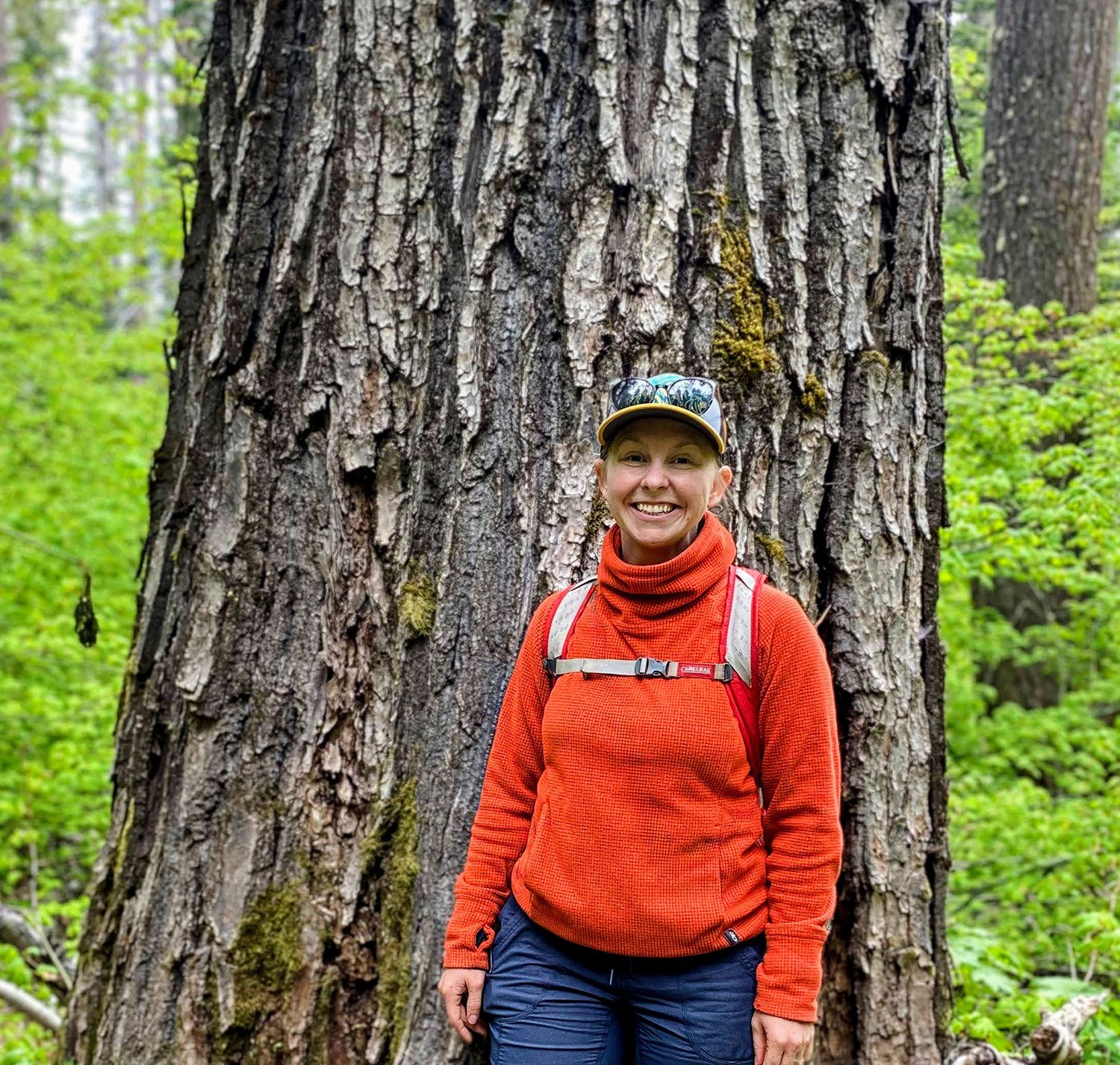 New UW Scientist Helps Show That Responsible Logging Can Help Eastern ...
